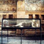 Private Tour to Pompeii, Sorrento and Positano Full-Day - Transportation and Overall Value