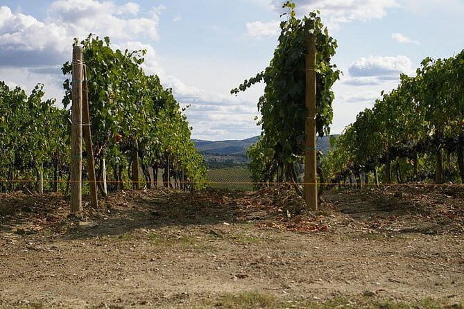 Private Tour to Siena and San Gimignano with Wine Tasting & Lunch - Who Should Consider This Tour?