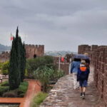Private Tour To Silves Castle and Monchique - A Deep Dive into the Experience