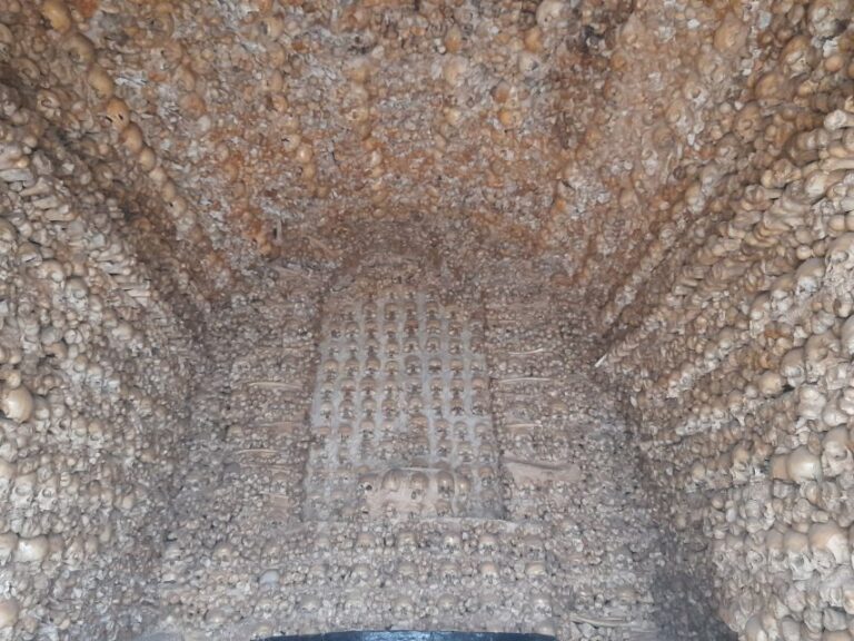 Private Tour to Silves Castle Whith Algarvian Wine Tasting - Authentic Algarve Wine Tasting Experience
