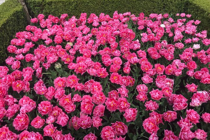 Private Tour to the Keukenhof and Tulip Fields - A Visit to Aalsmeer Flower Auction