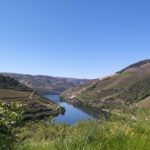 Private Tour to the rock art of Côa Park, Pinhão and Winery - The Value of the Experience