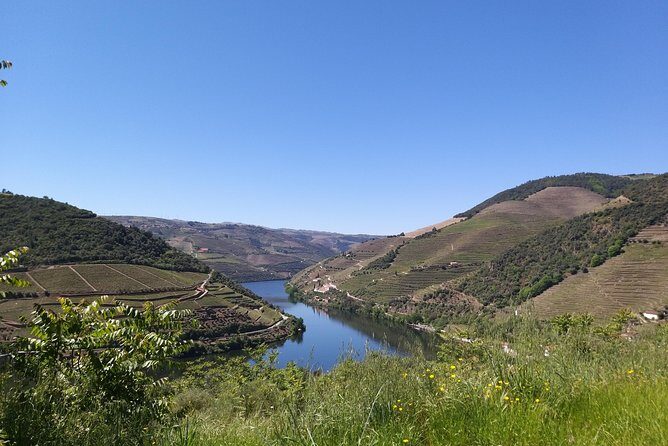 Private Tour to the rock art of Côa Park, Pinhão and Winery - The Value of the Experience