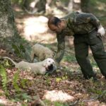Private Tour: Truffle-Hunting Experience from Naples with Lunch - An In-Depth Look at the Truffle-Hunting Tour