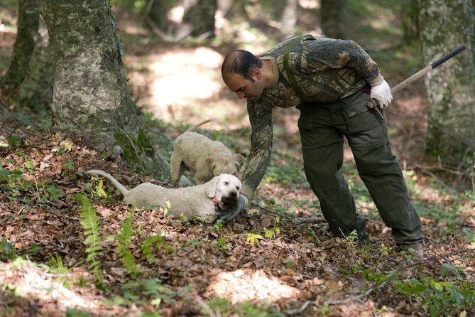 Private Tour: Truffle-Hunting Experience from Naples with Lunch - An In-Depth Look at the Truffle-Hunting Tour
