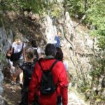 Private Tour: Truffle-Hunting Experience from Positano with Lunch - The Art of Truffle Hunting: What to Expect