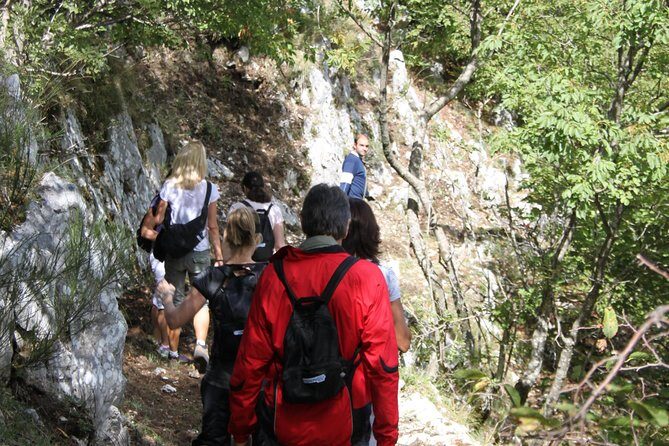 Private Tour: Truffle-Hunting Experience from Positano with Lunch - The Art of Truffle Hunting: What to Expect