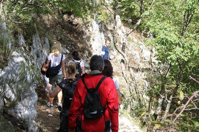 Private Tour: Truffle-Hunting Experience from Sorrento with Lunch - Who Will Love This Tour?