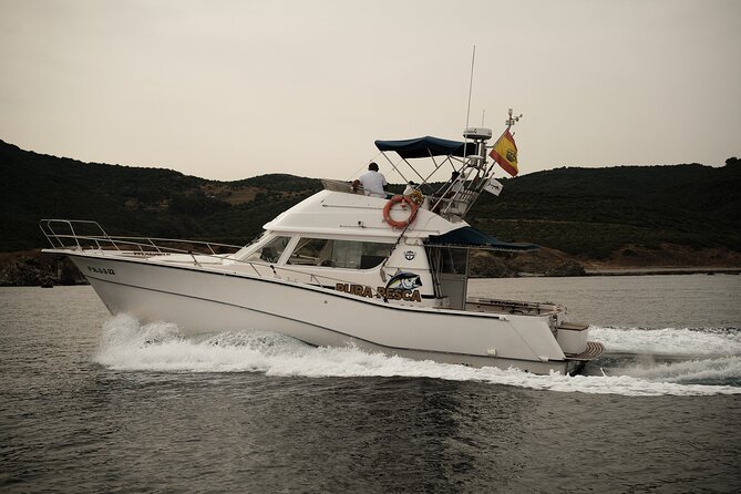 Private Tour with Dolphin Watching in Algeciras Bay - Key Points