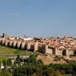 Private tour with driver from Madrid through Avila and Segovia with entrance tickets - A Closer Look at the Tour Experience