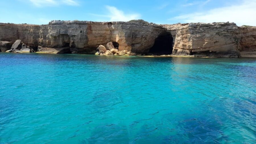 Private tour with typical homemade products and full beverage - A Detailed Dive into the Tour