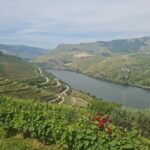 Private tours and transport amazing for you at DOURO Valley - What We Love and What to Consider