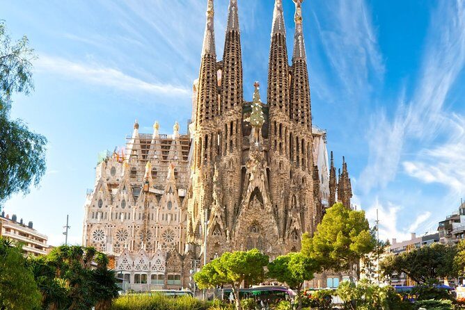 Private Transfer: Cruise Port to Barcelona by Luxury Van - The Fleet and Comfort