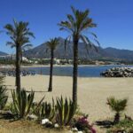 Private Transfer from Malaga airport (AGP) to Fuengirola - Who Should Consider This Service?
