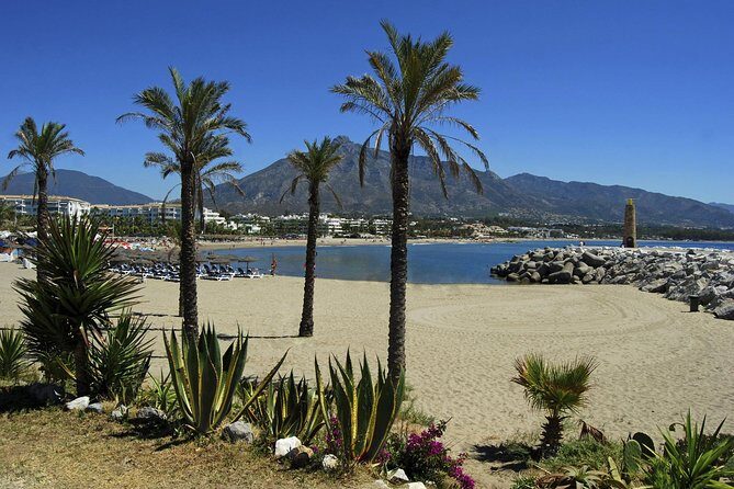 Private Transfer from Malaga airport (AGP) to Fuengirola - Who Should Consider This Service?