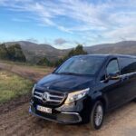 Private Transfer from Malaga Airport (Agp) to Granada City - The Experience as Described in Reviews