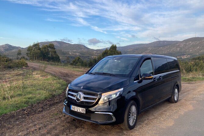 Private Transfer from Malaga Airport (Agp) to Granada City - The Experience as Described in Reviews
