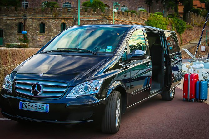 Private transfer from Paris to Disneyland - Key Points