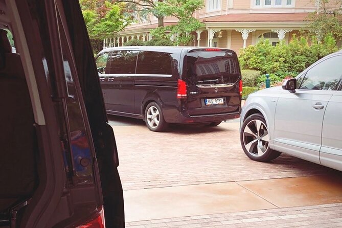 Private Transfer from Roissy CDG Airport to Disneyland Paris - Key Points