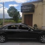 Private Transfer from San Sebastian to Elciego - Detailed Breakdown of the Journey