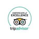 Private Transfer London & Southampton - Cruise Terminal or Hotel - The Detailed Itinerary and Experience