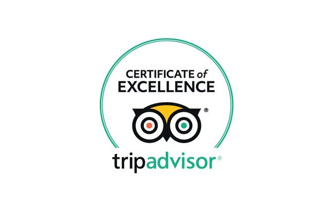 Private Transfer London & Southampton - Cruise Terminal or Hotel - The Detailed Itinerary and Experience