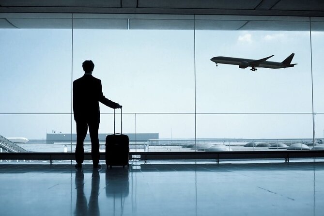 Private Transfer Rome/Fco apt to Civitavecchia Port - Key Points