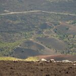 Private Trekking in the Sartorius Mountains - Value and Cost Analysis