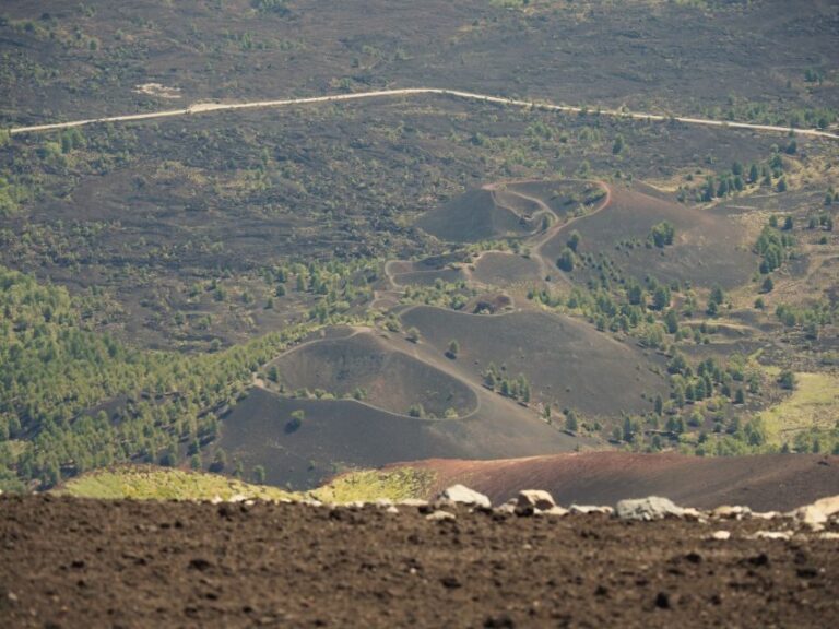 Private Trekking in the Sartorius Mountains - Value and Cost Analysis