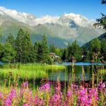 Private Trip from Geneva to Swiss Riviera Montreux & Chamonix - Perspective on the Experience
