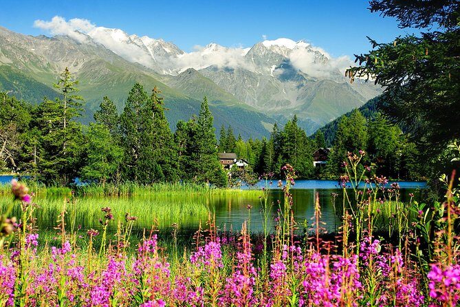 Private Trip from Geneva to Swiss Riviera Montreux & Chamonix - Perspective on the Experience