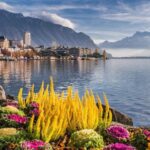 Private trip: Interlaken> Aigle Castle, Vineyards & Montreux - The Practicalities & What You Need to Know