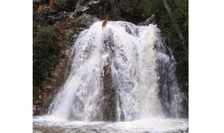 Private Troodos 4x4 Tour -Guided by Mario from the SuperTeam - What Makes This Tour Special?