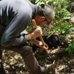 Private Truffle Hunting in Chianti from Florence - The Sum Up