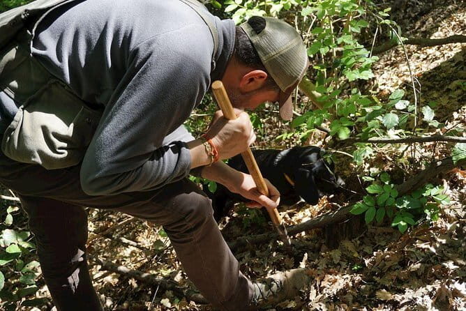 Private Truffle Hunting in Chianti from Florence - The Sum Up