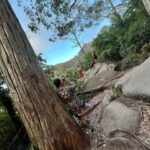 Private Tuk Tuk Tour in Sintra and Coast - The Experience: What You’ll Love