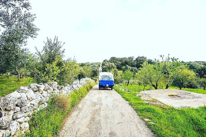 Private Tuk Tuk Tour of the Millenary Olive Groves in Ostuni - Olive Oil Tasting and Local Flavors