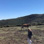 Private Typical Portuguese Picnic in Serra de Monchique - Additional Practical Details