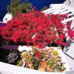 Private Unseen Authentic Santorini Half Day Shore Excursion - The Itinerary: A Closer Look