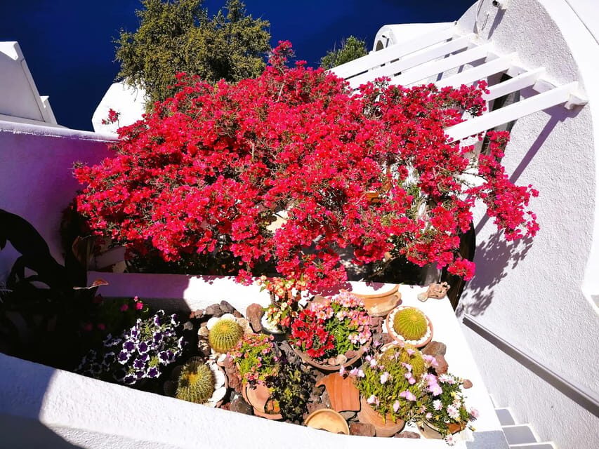 Private Unseen Authentic Santorini Half Day Shore Excursion - The Itinerary: A Closer Look