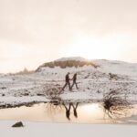 Private Vacation Photography Session with Local Photographer in Reykjavik - The Scenic Routes