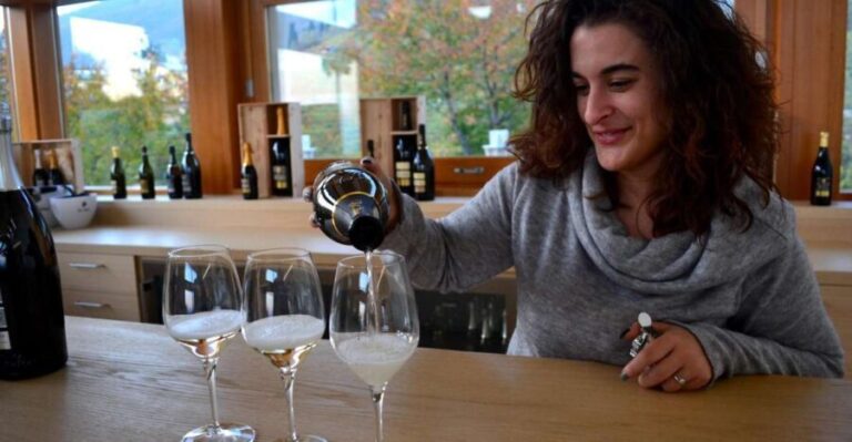 Private Venetian Hills Wine Tour - Detailed Breakdown of the Itinerary