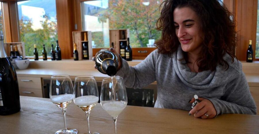 Private Venetian Hills Wine Tour - Detailed Breakdown of the Itinerary