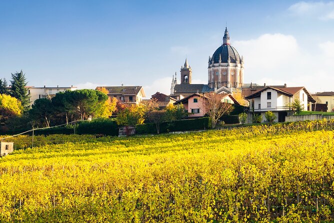 Private Vespa Tour "Among the hills of Barolo and Barbaresco" - Key Points