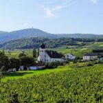 Private Vienna Woods Wine Tour - Practical Tips