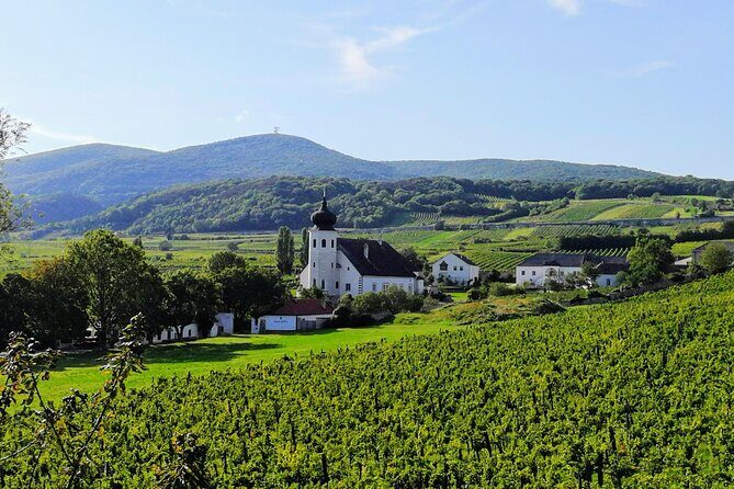 Private Vienna Woods Wine Tour - Practical Tips