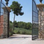 Private Vineyard Tour of Provence from Nice - Authenticity and Value