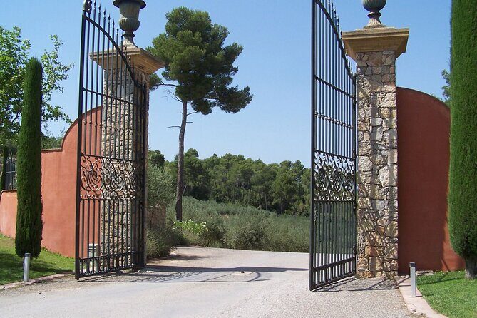 Private Vineyard Tour of Provence from Nice - Authenticity and Value