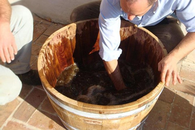 Private Vineyard Visit: Wine Tasting, Local Delicacies & Ceramics - A Closer Look at the Itinerary and What You’ll Experience