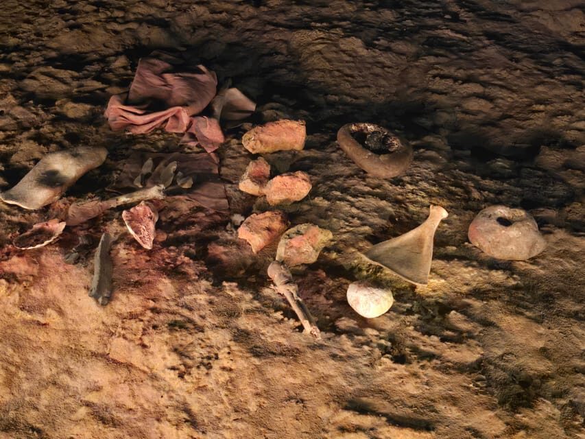 Private visit Altamira Museum and Neocave: the fascination of prehistory - Final thoughts